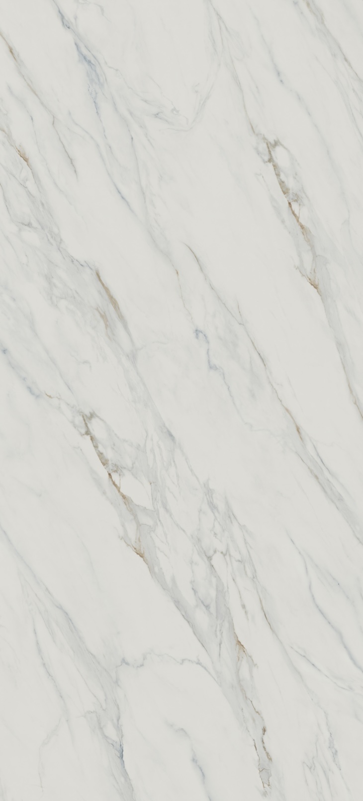 Calacatta Lapiza - Elite Kitchen & Bath